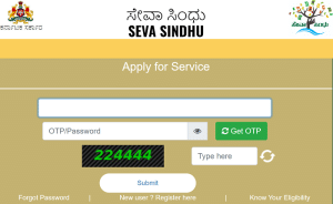 Seva Sindhu Plus: Karnataka Portal - sevasindhu.karnataka.gov.in